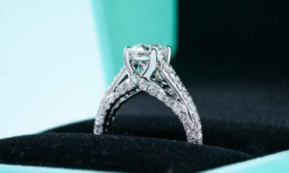 Michael Dmitri Ingraham: Laura Ingraham's Adopted Son Biography ...