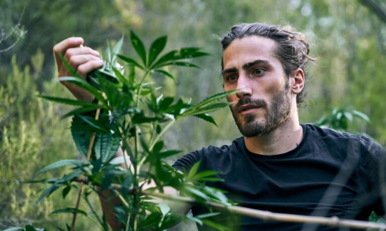 All About Innocams: Features, Setup Process, Applications, Pros & Cons ...